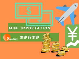 Mini importation guide step by step - StopLearn.com
